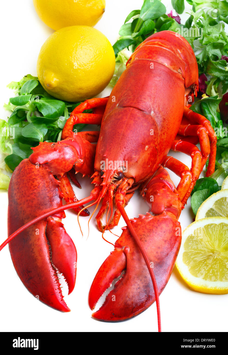 boiled lobster and lemon Stock Photo - Alamy