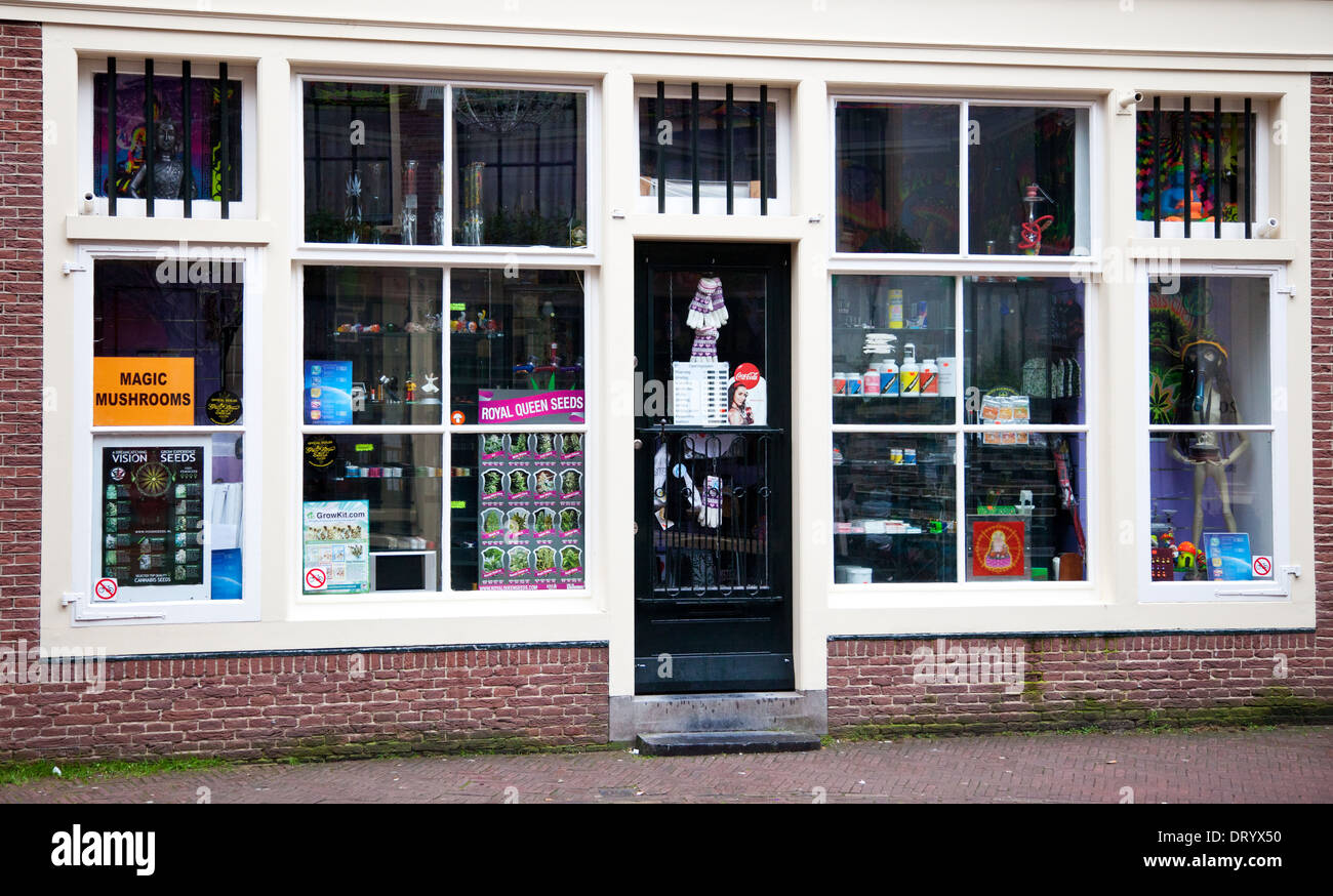 Typical hemp shop in Amsterdam Stock Photo - Alamy