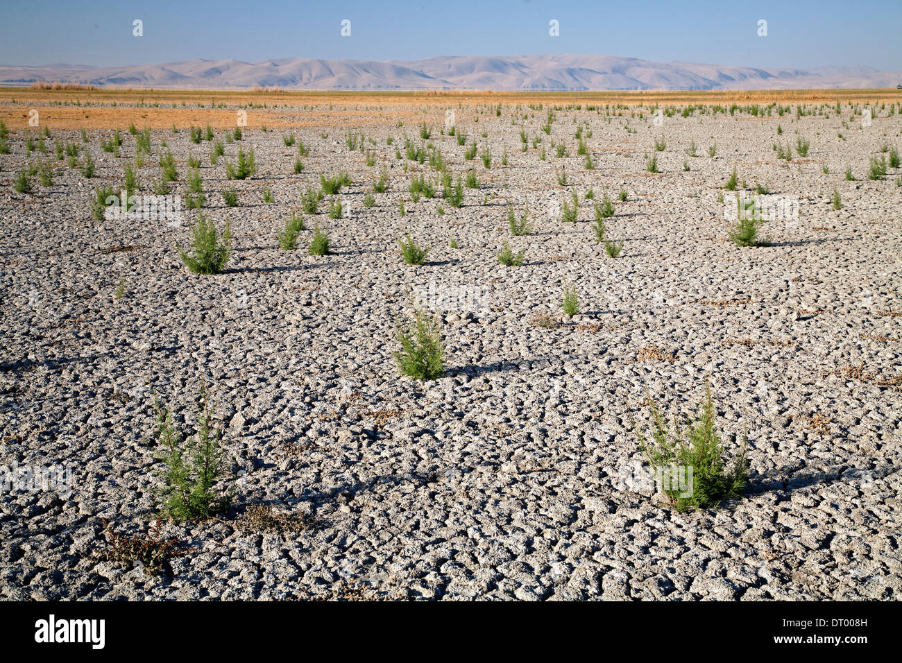 Drying lake bed in Central Anatolia Turkey Stock Photo - Alamy