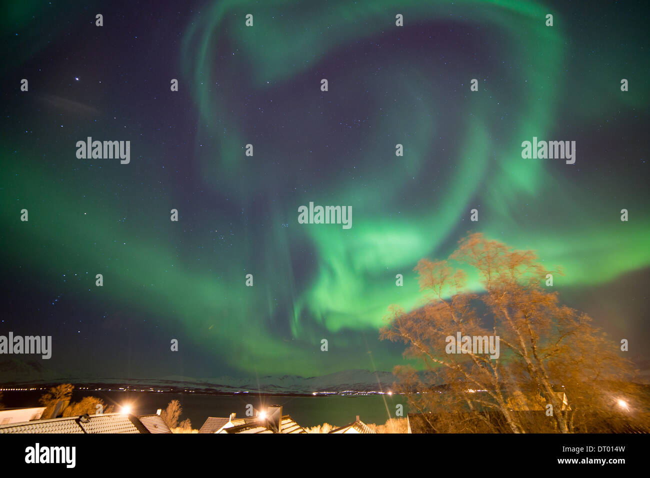aurora with Orion and Jupiter Stock Photo - Alamy