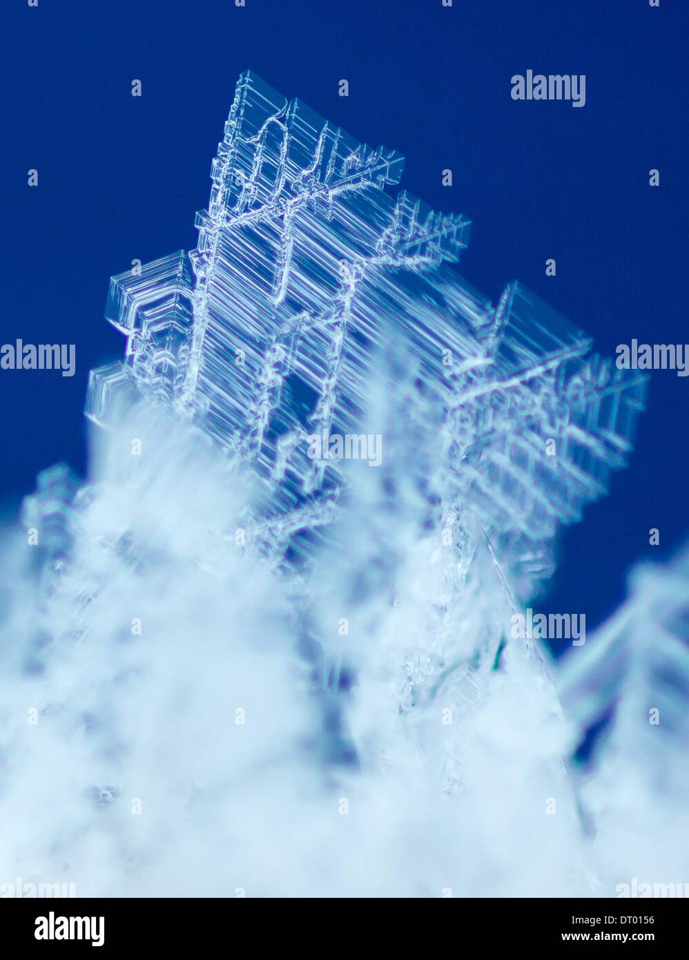Hoar Frost Crystals Stock Photo - Alamy