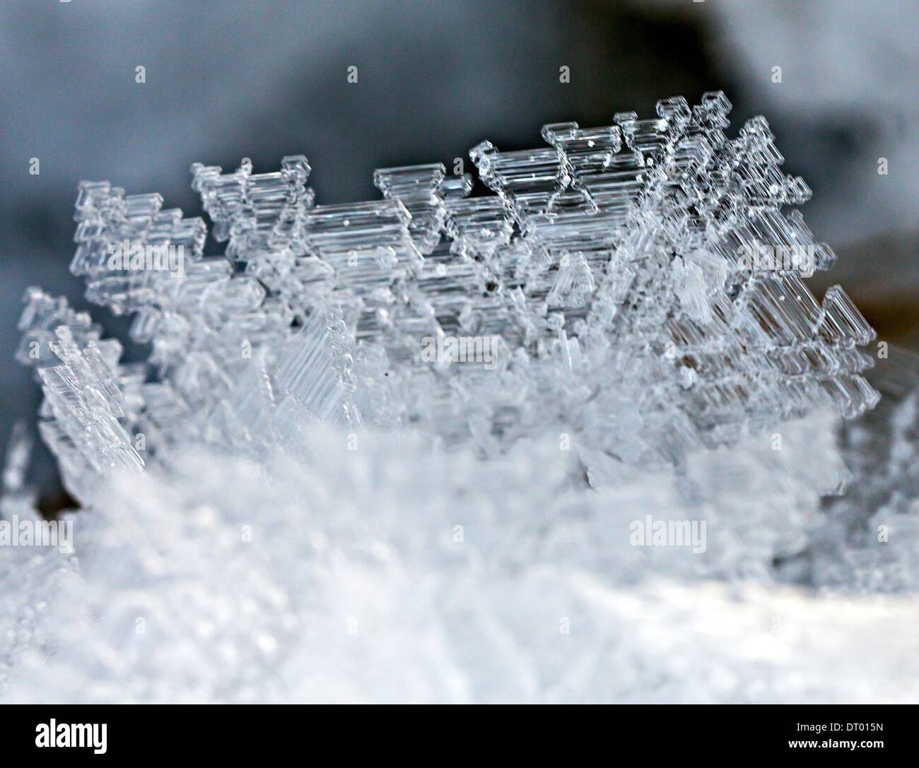 Hoar Frost Crystals Stock Photo - Alamy