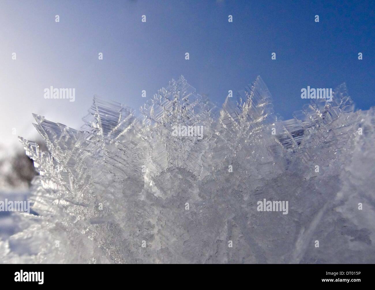 Hoar Frost Crystals Stock Photo - Alamy