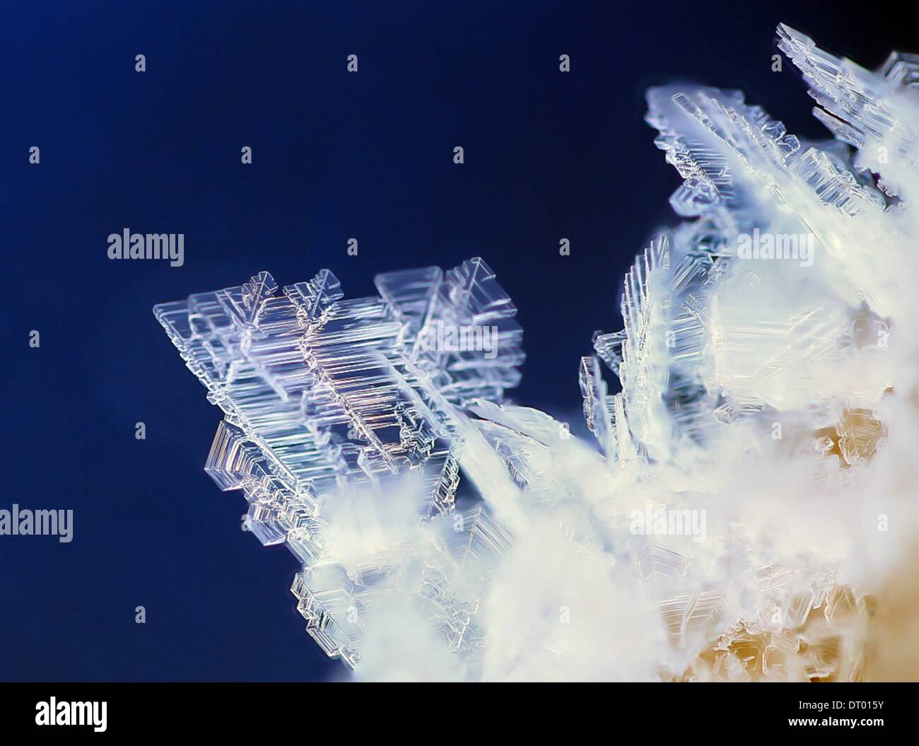 Hoar Frost Crystals Stock Photo - Alamy