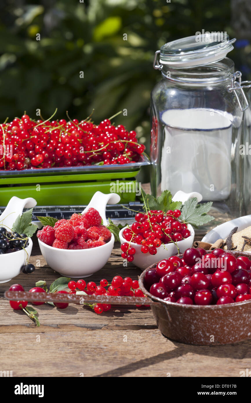 Making ingredients for a traditional homemade liqueur made from fresh ...