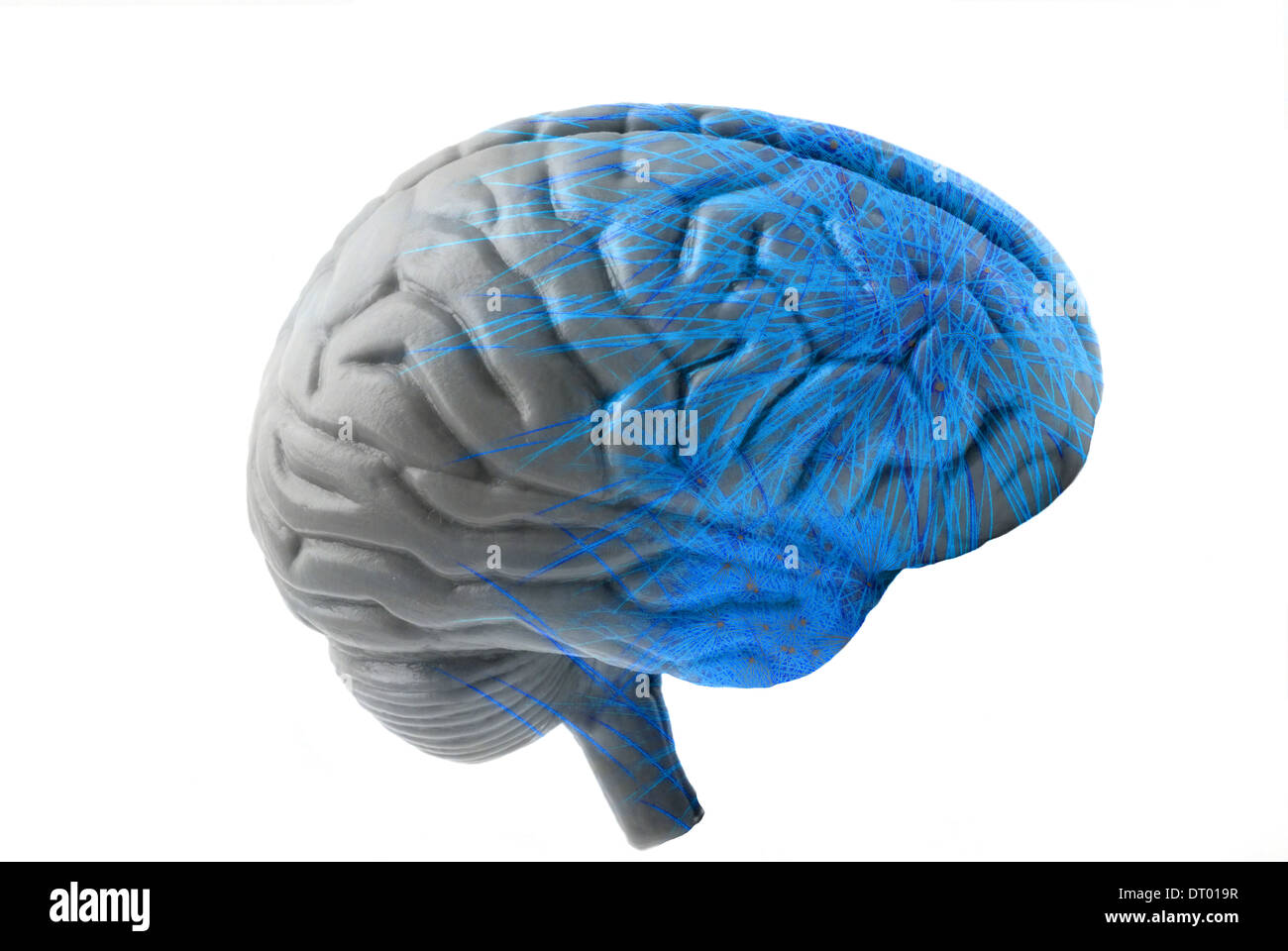 Human brain activity hi-res stock photography and images - Alamy
