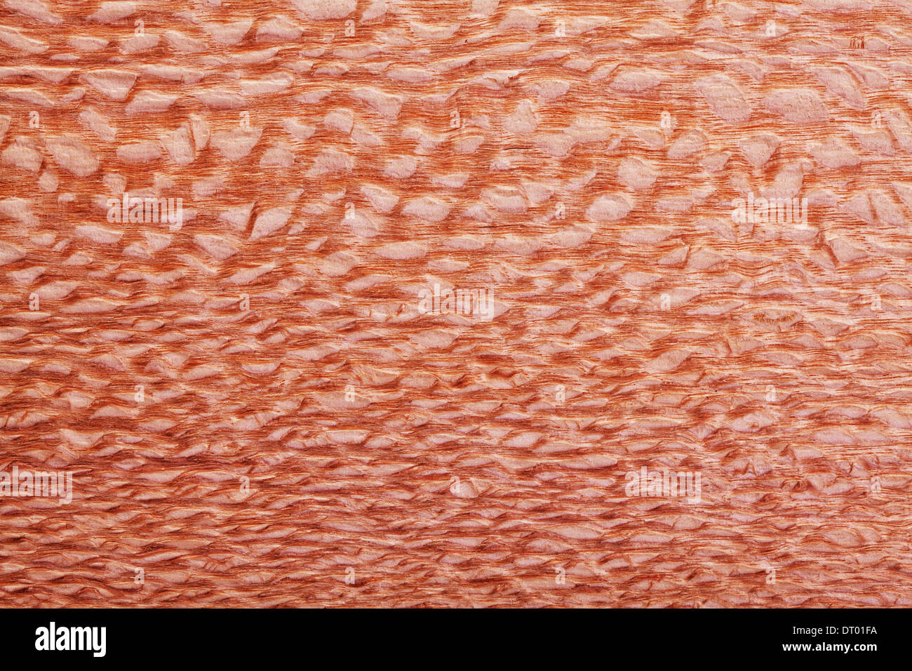 Exotic wood texture hi-res stock photography and images - Alamy