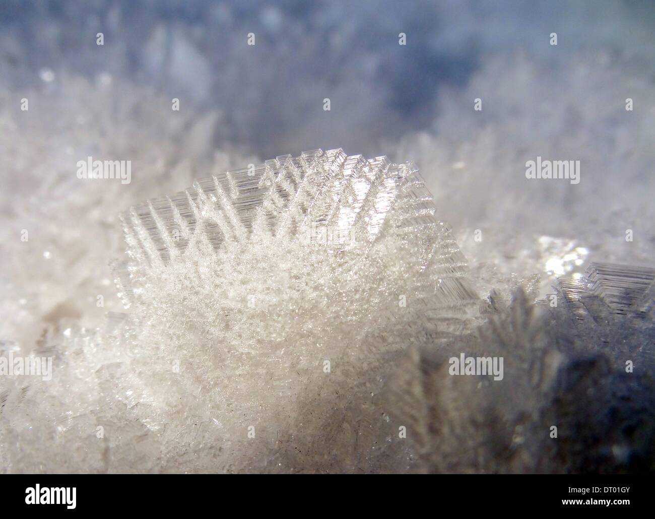 Hoar Frost Crystals Stock Photo - Alamy