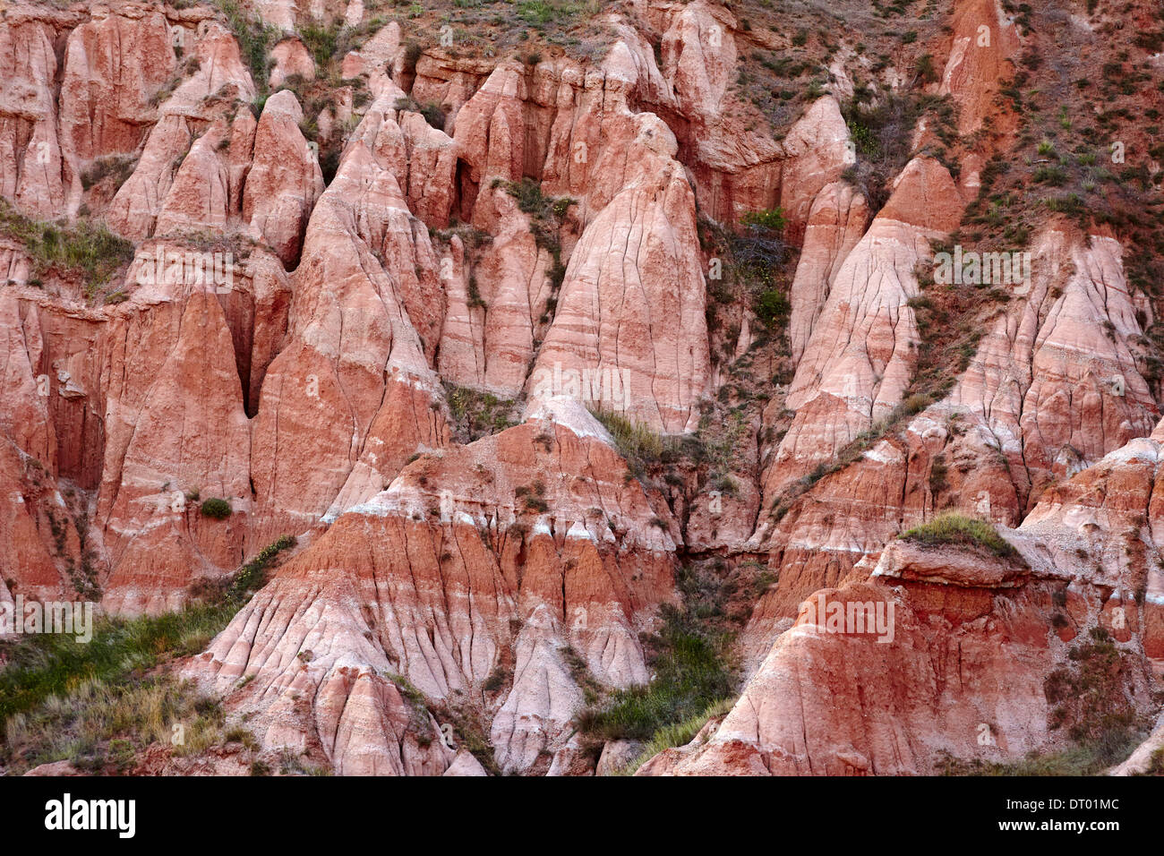 The beautiful Red Ravine (Rapa Rosie) from the Carpathian mountains ...