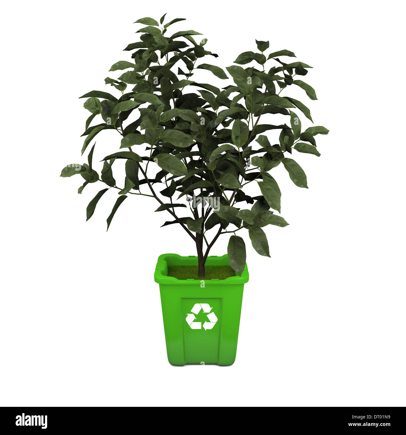 Recycling concept with young tea plant growing in green recycle bin ...