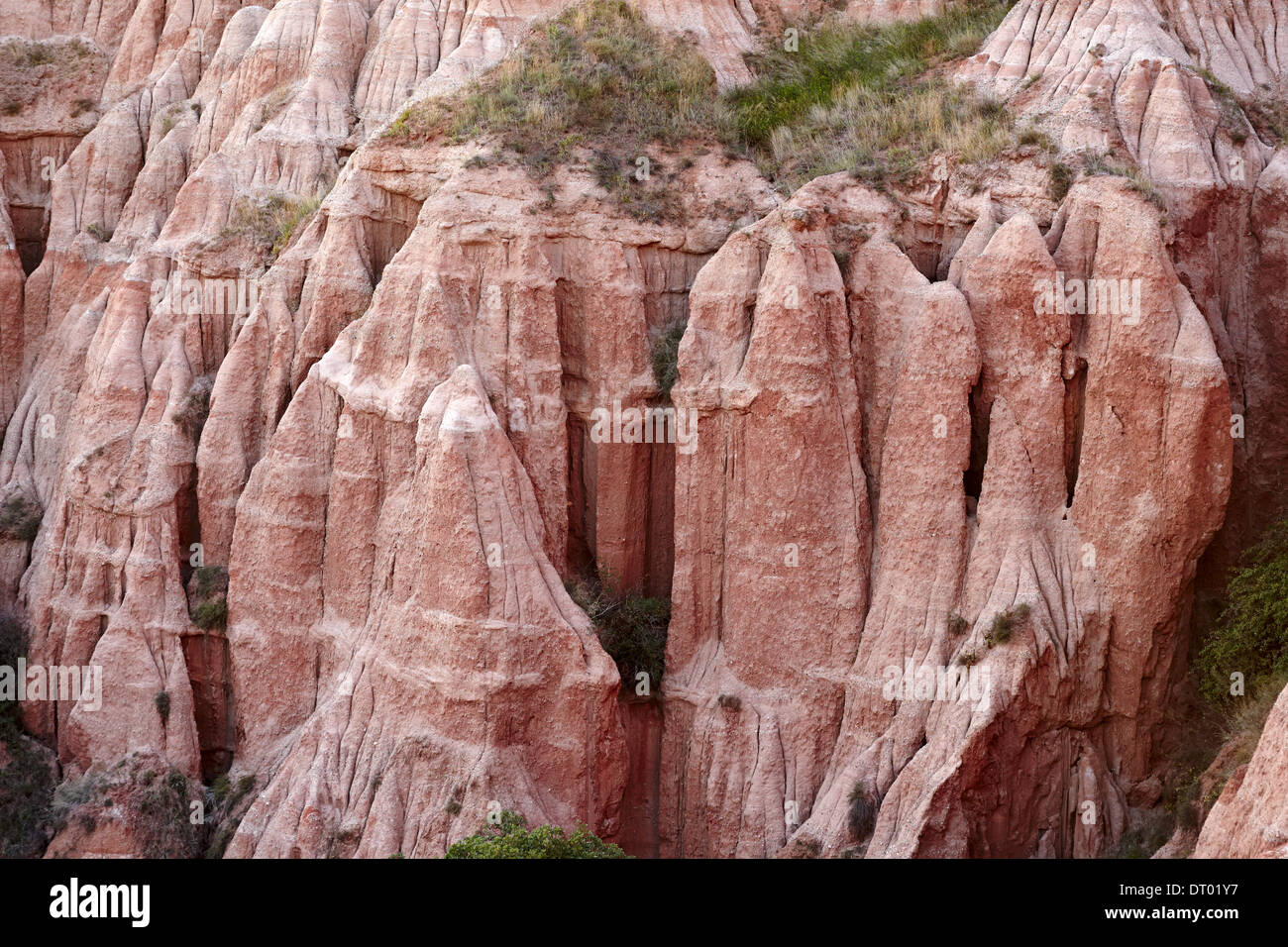 The beautiful Red Ravine (Rapa Rosie) from the Carpathian mountains ...