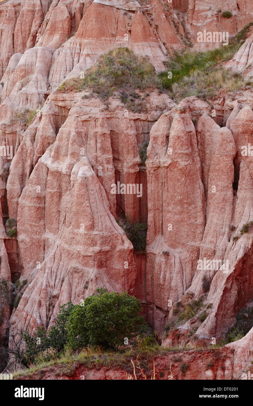 The beautiful Red Ravine (Rapa Rosie) from the Carpathian mountains ...