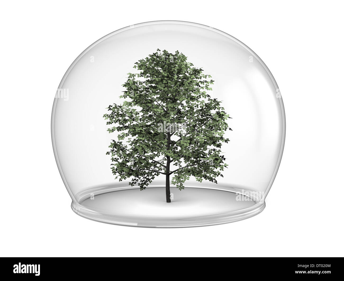 Tree inside glass bowl, concept of environmental protection and ...