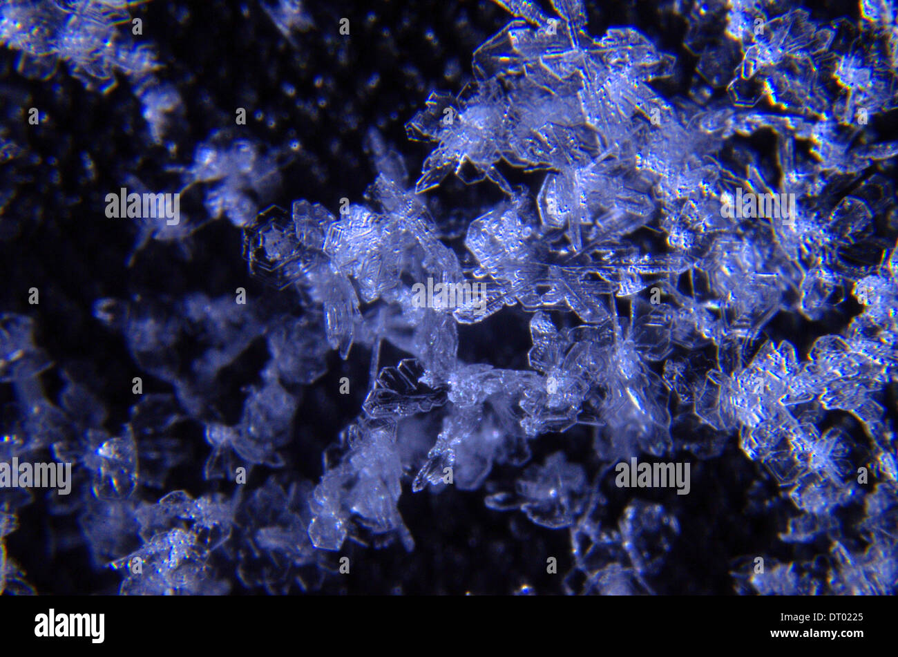 Snow flakes in winter hi-res stock photography and images - Alamy