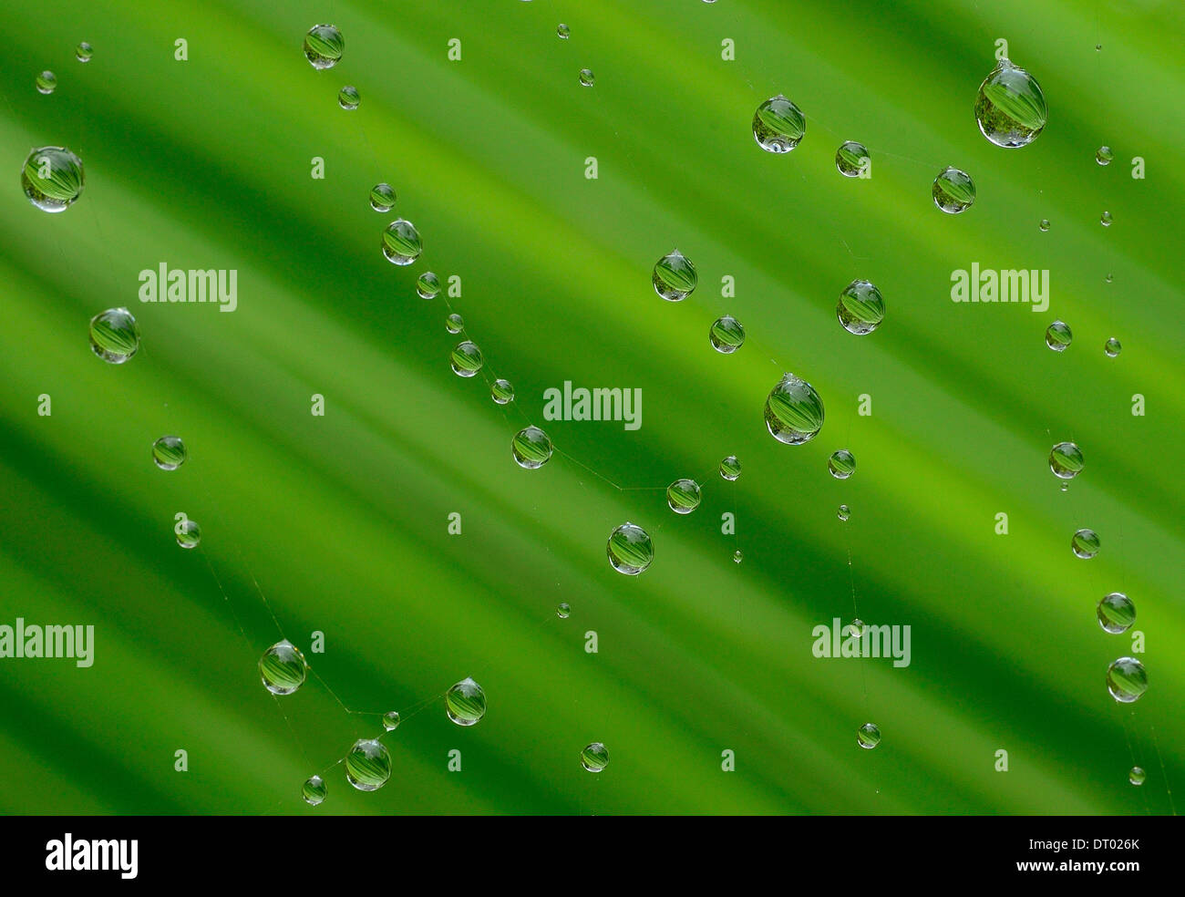 floating water droplets Stock Photo - Alamy