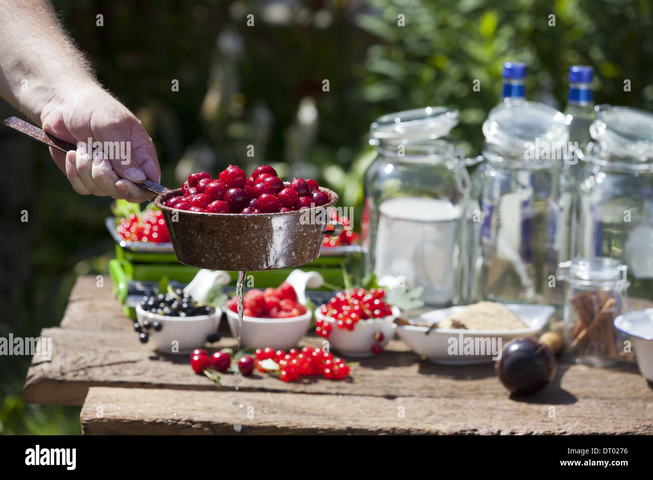 Homemade cherry liqueur, step 1, wash the cherries with water in a ...