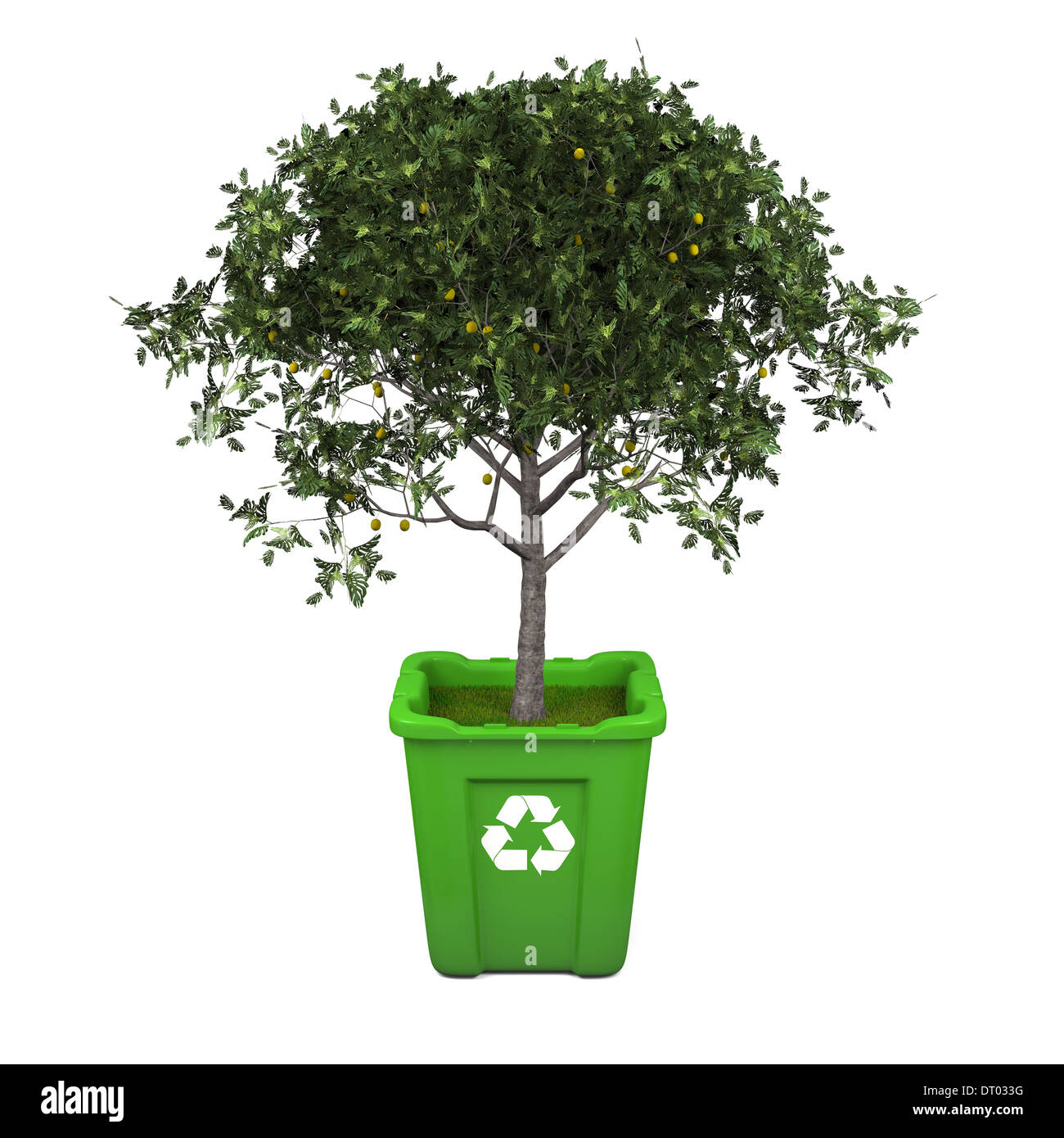 Rubbish in tree Cut Out Stock Images & Pictures - Alamy