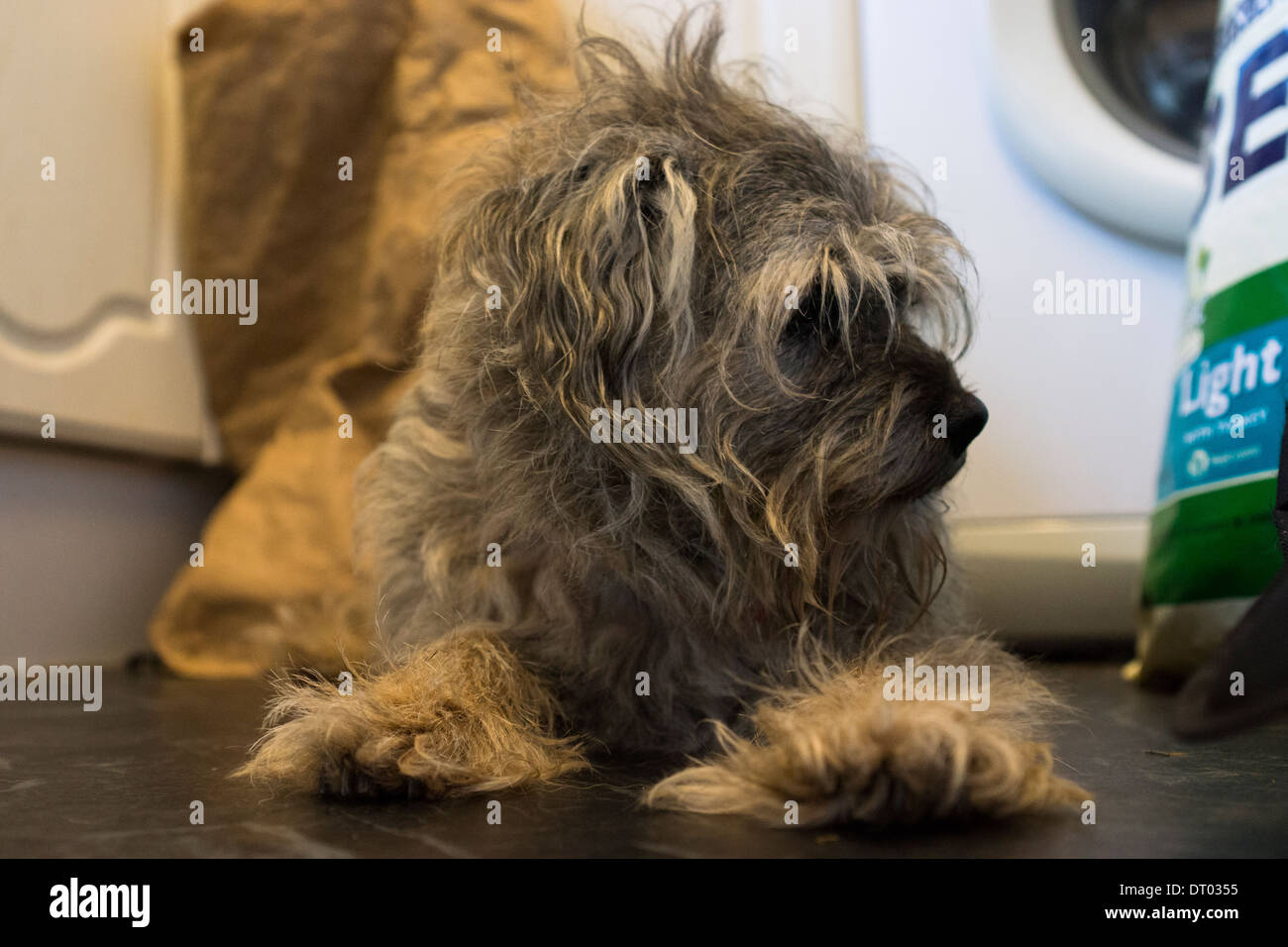 Laying side ways hi-res stock photography and images - Alamy