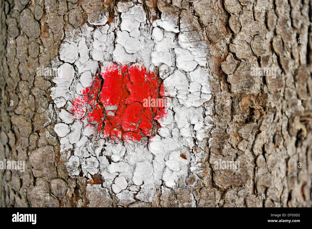 Red route map hi-res stock photography and images - Alamy