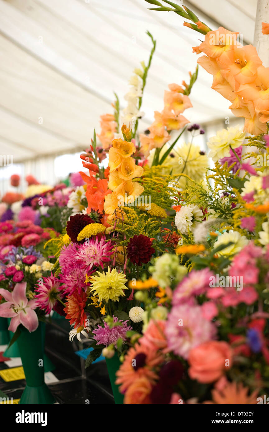 Entries in the One Vase of Mixed Cut Flowers class in the horticultural ...