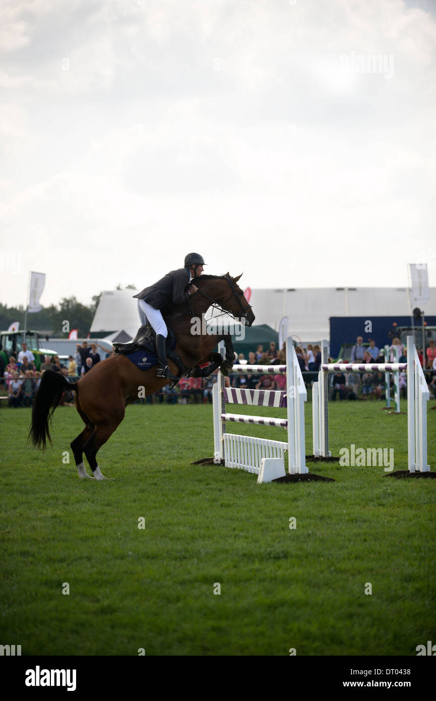 A horse and rider ready to jump a fence in the show jumping competition ...