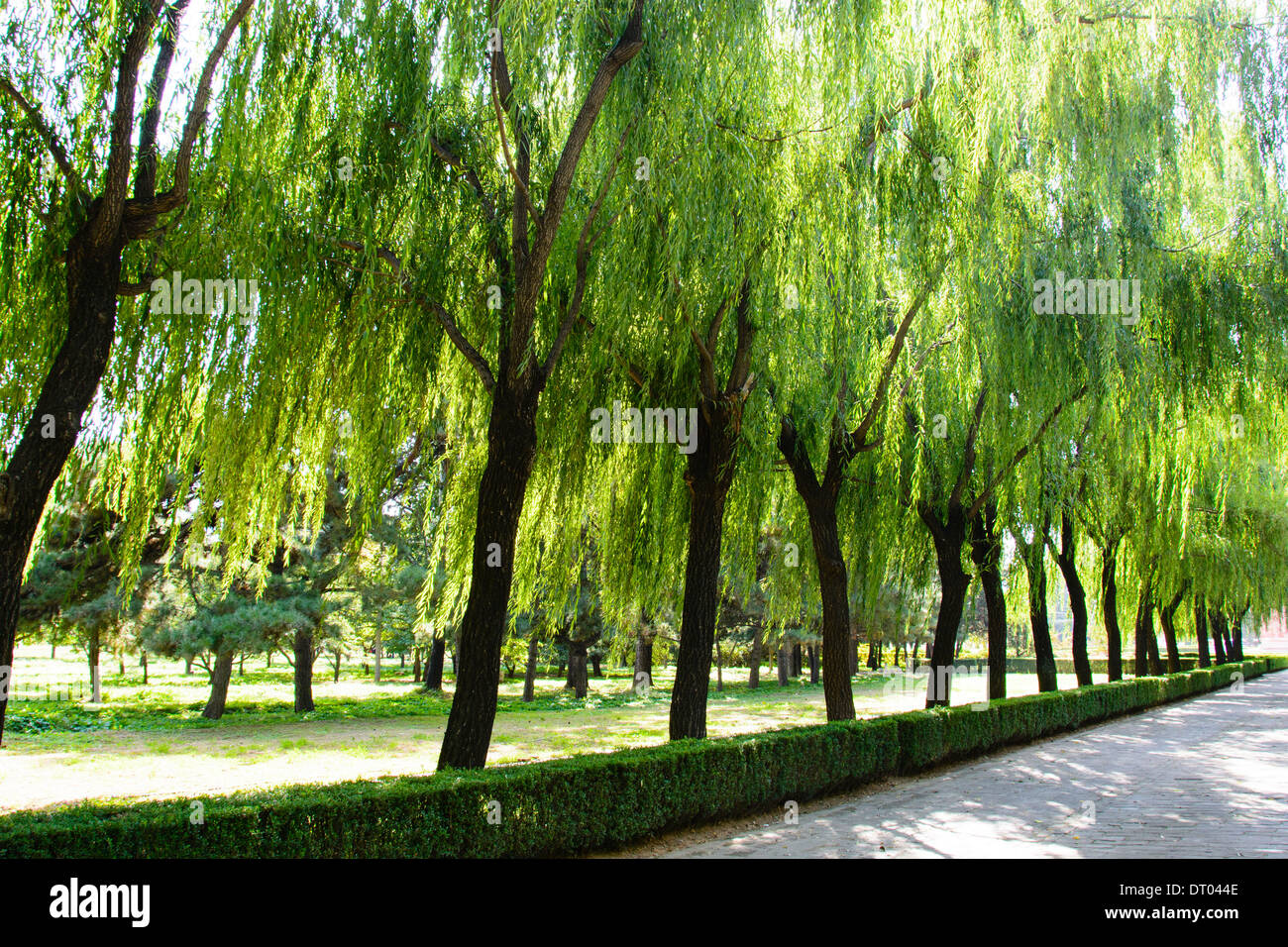 China, Beijing, Ming Dynasty Tombs, Changling Tomb, Spirit Way Stock ...