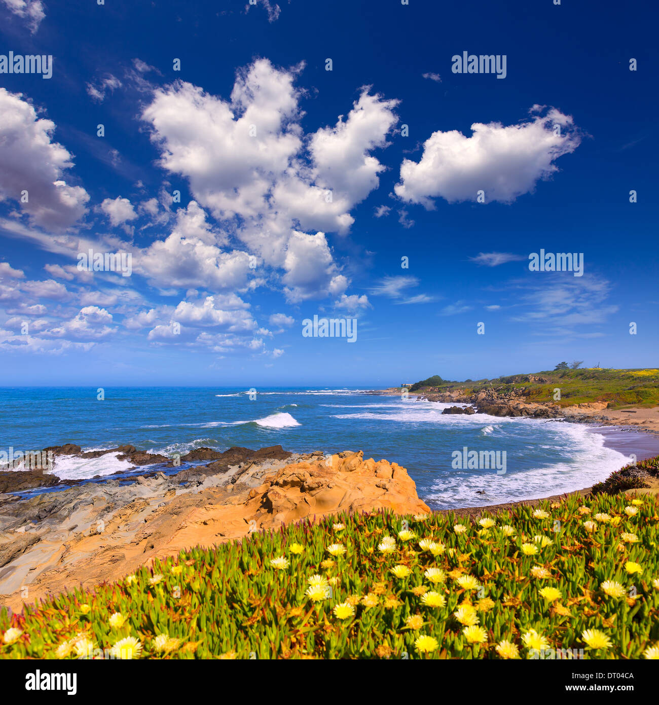 California Bean Hollow State beach in Cabrillo Highway on State Route 1 ...