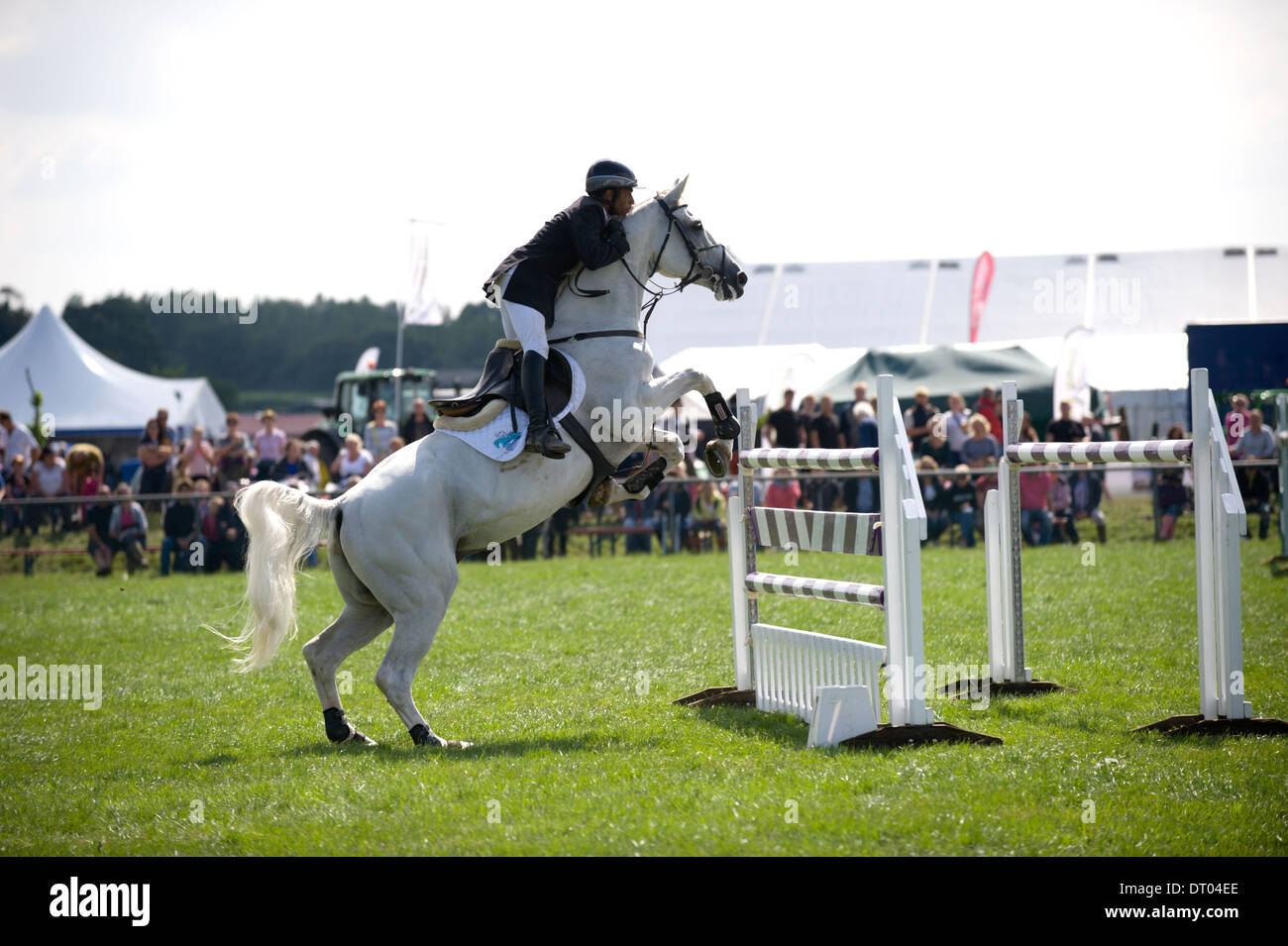 A horse and rider ready to jump a fence in the show jumping competition ...
