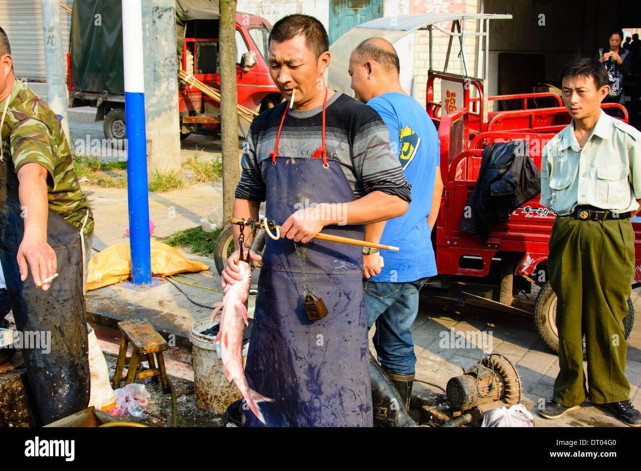 China, Xian, outdoor fresh fish market Stock Photo - Alamy