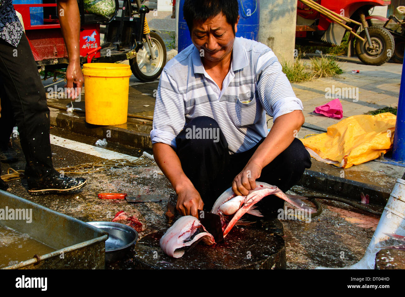 China, Xian, outdoor fresh fish market Stock Photo - Alamy
