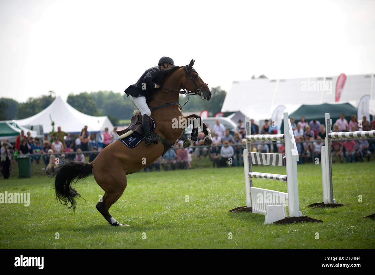 Edenbridge agricultural show hi-res stock photography and images - Alamy