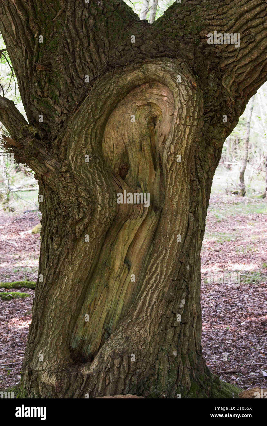 Edvard munch scream hi-res stock photography and images - Alamy