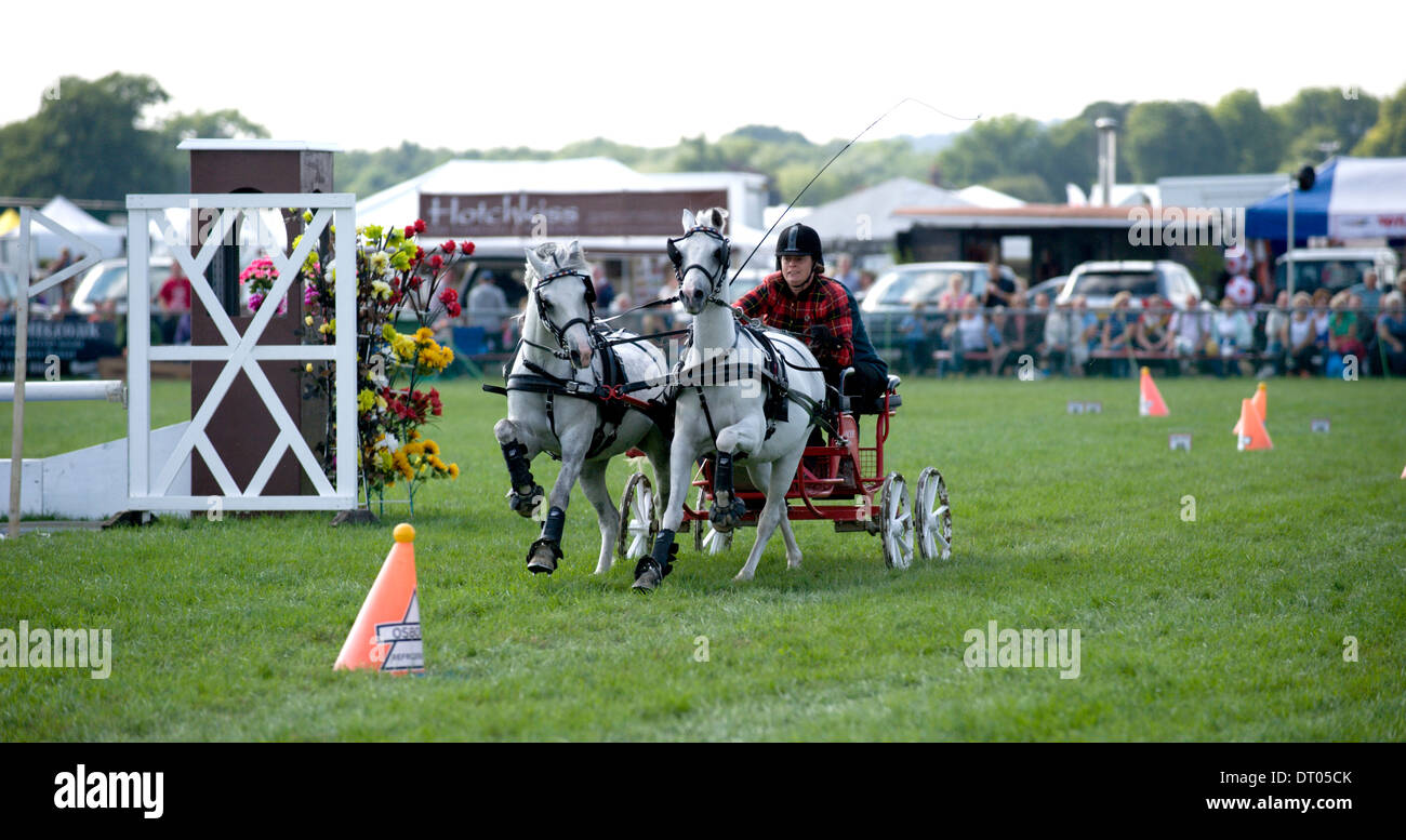Competitors in the Double Harness Scurry Driving competition at the ...
