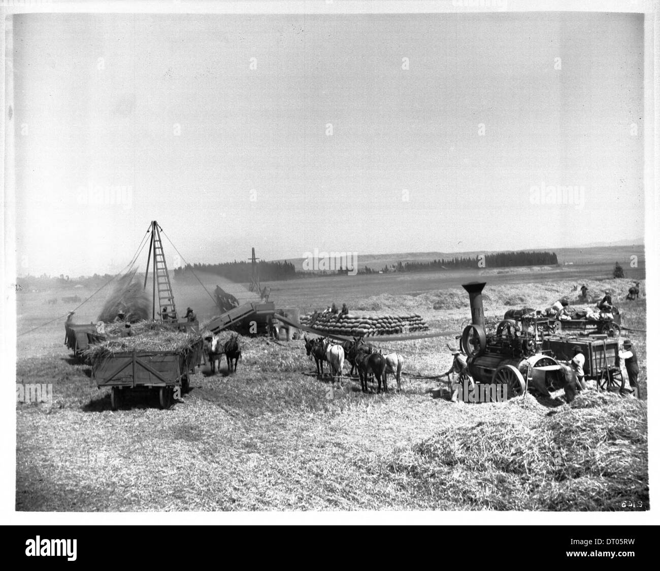 Bean threshing hi-res stock photography and images - Alamy