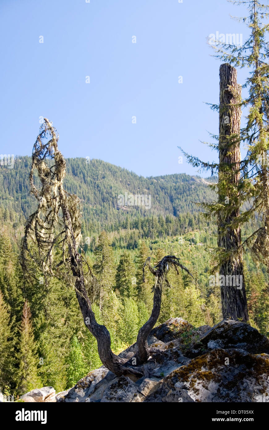 Wenatchee national forest washington hi-res stock photography and ...