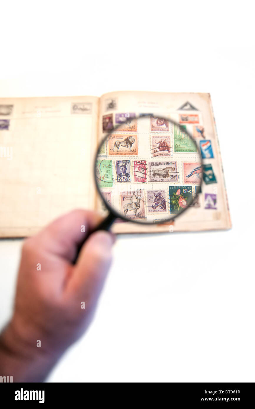 Stamp collecting hobby. Collector uses a magnifying glass to view his ...
