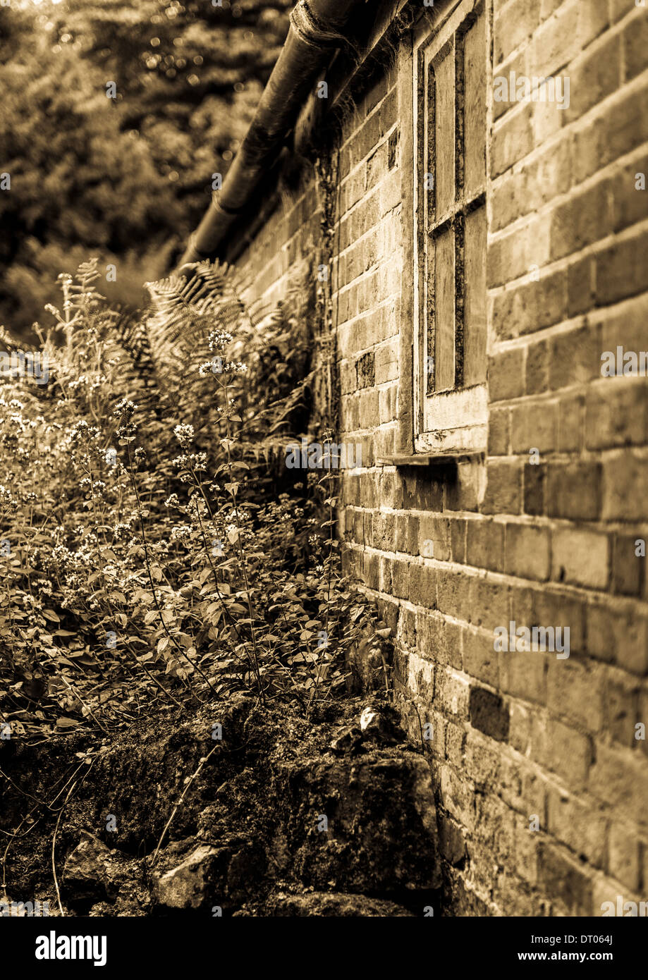 Highclare castle hi-res stock photography and images - Alamy