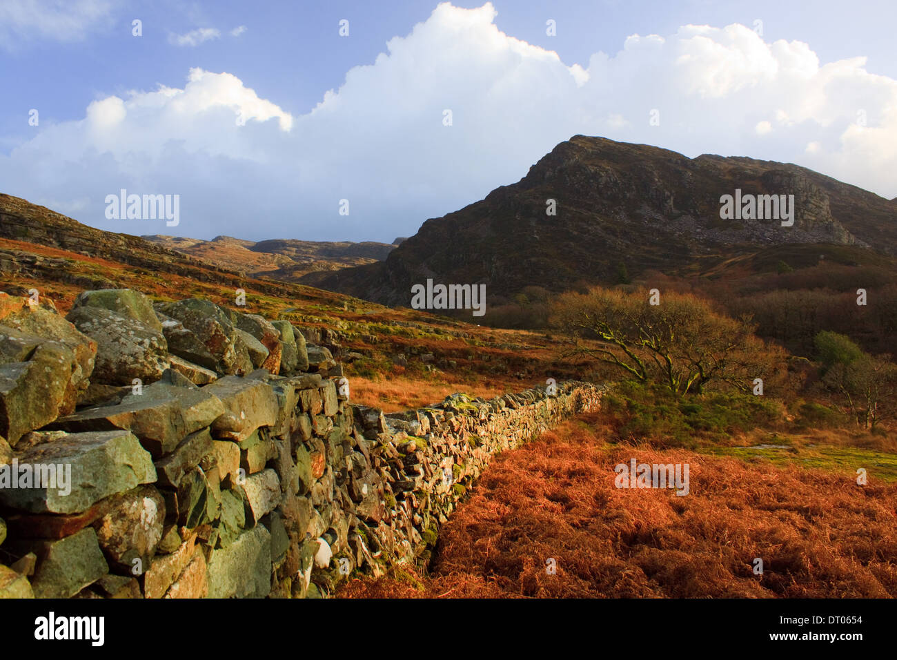 Cwm bychan hi-res stock photography and images - Alamy