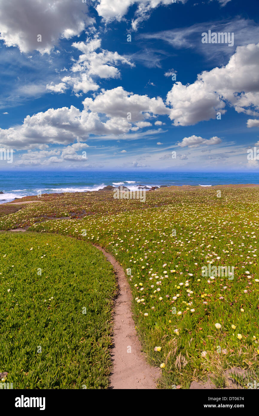 California Pigeon point beach in Cabrillo Hwy coastal highway State ...