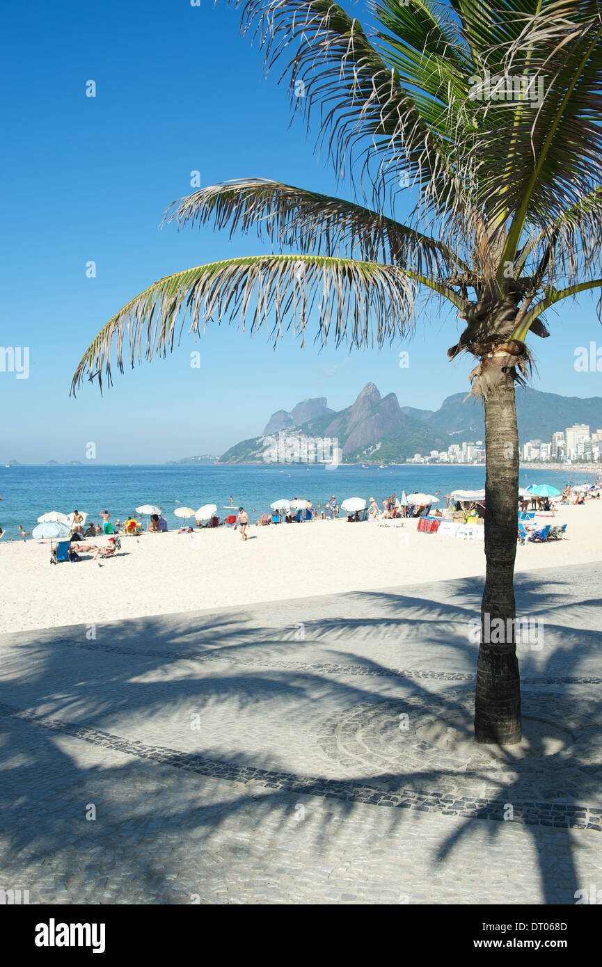 Ipanema Beach Rio de Janeiro view with palm tree at Arpoador Stock ...