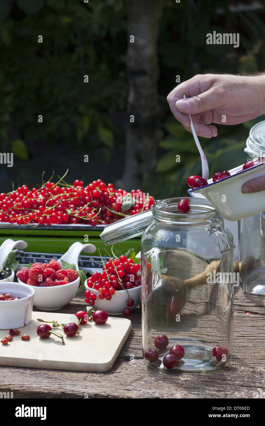 Cherry liqueur preparation, step 4, fill pitted cherries in a canning ...