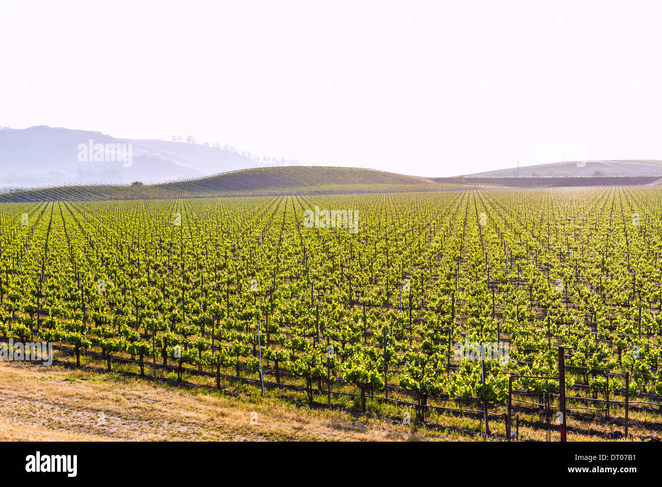 Farming california harvesting hi-res stock photography and images - Alamy