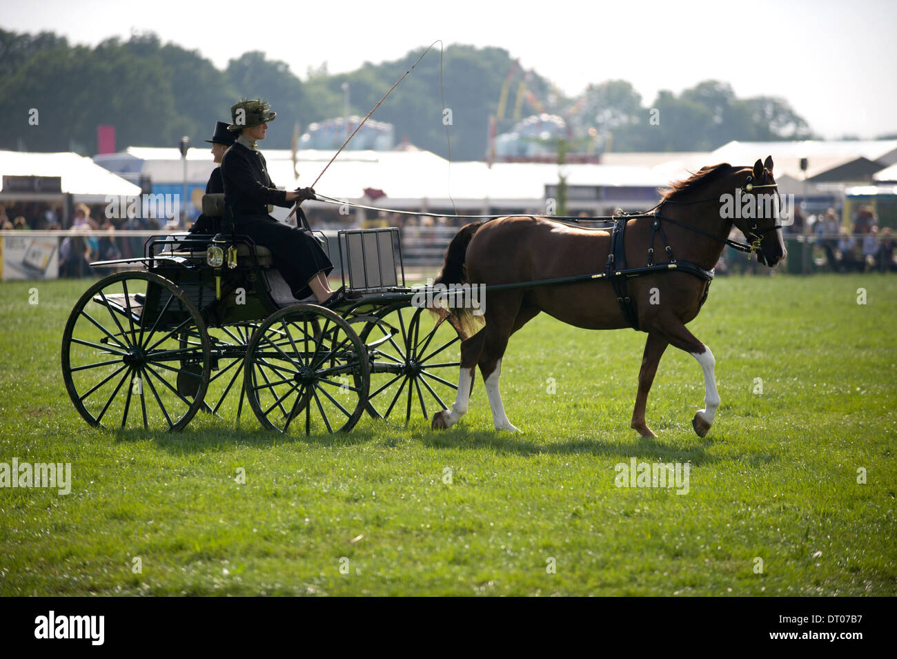 An entrant in the Private Driving Harness competition at the Edenbridge ...