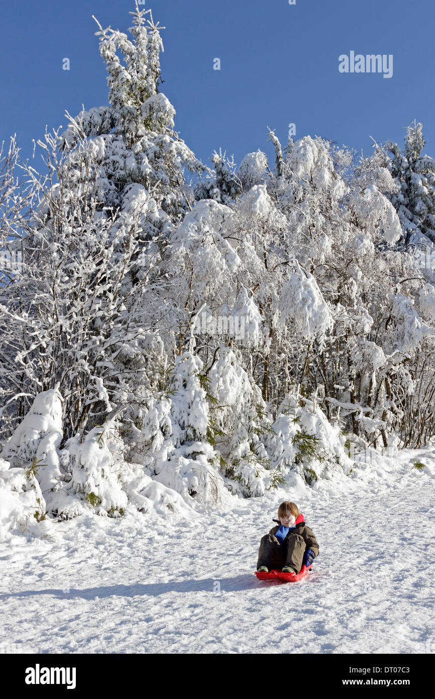 young boy sledding, Kahler Asten, Sauerland, North Rhine-Westfalia ...