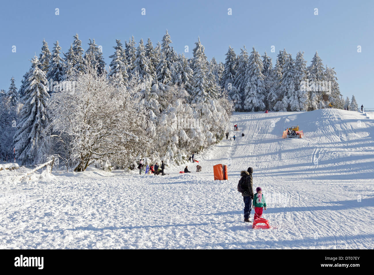 sledding on Kahler Asten near Winterberg, Sauerland, Northrhine ...