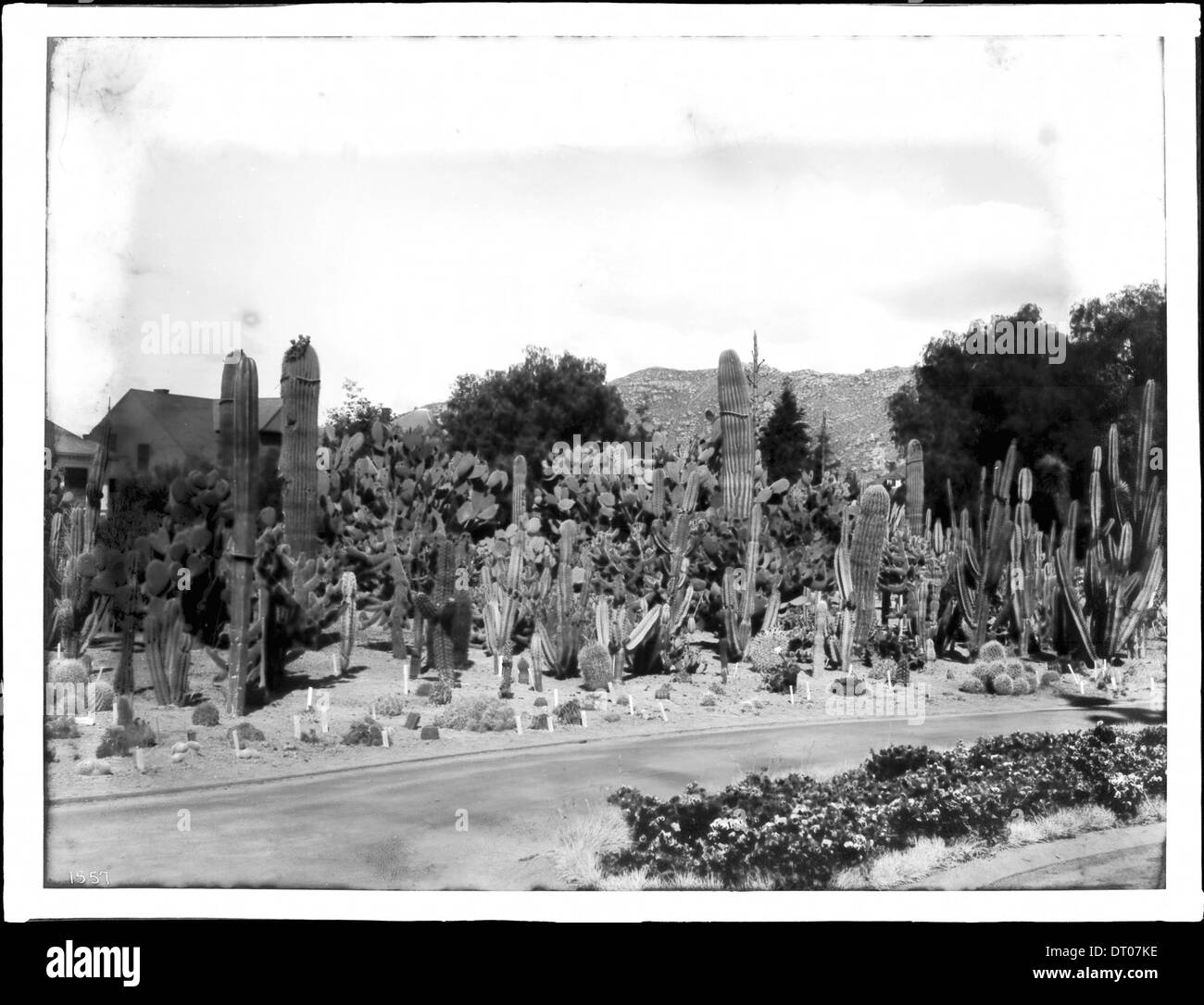 Historic riverside california Black and White Stock Photos & Images - Alamy