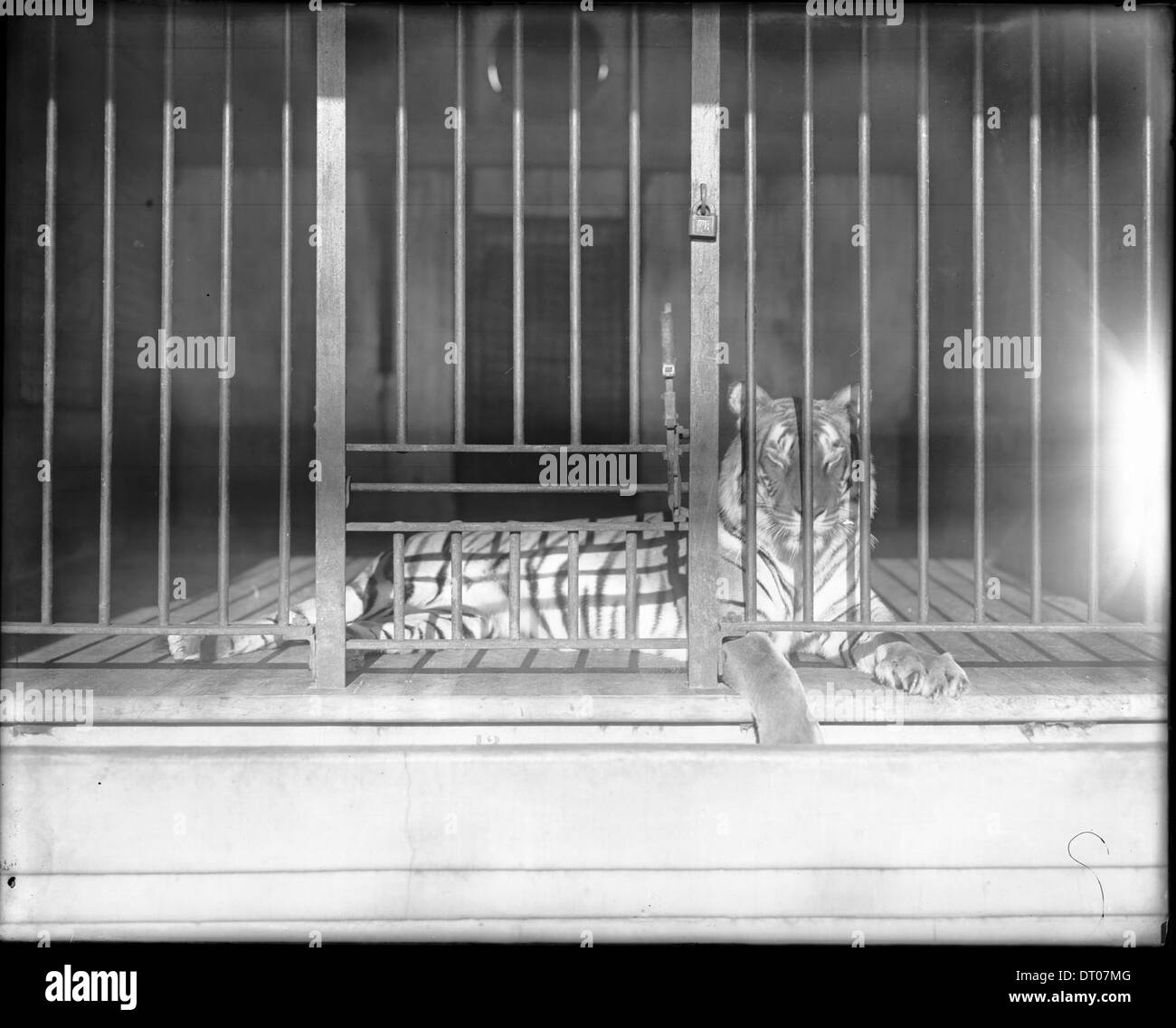 Old Zoo Los Angeles High Resolution Stock Photography and Images - Alamy