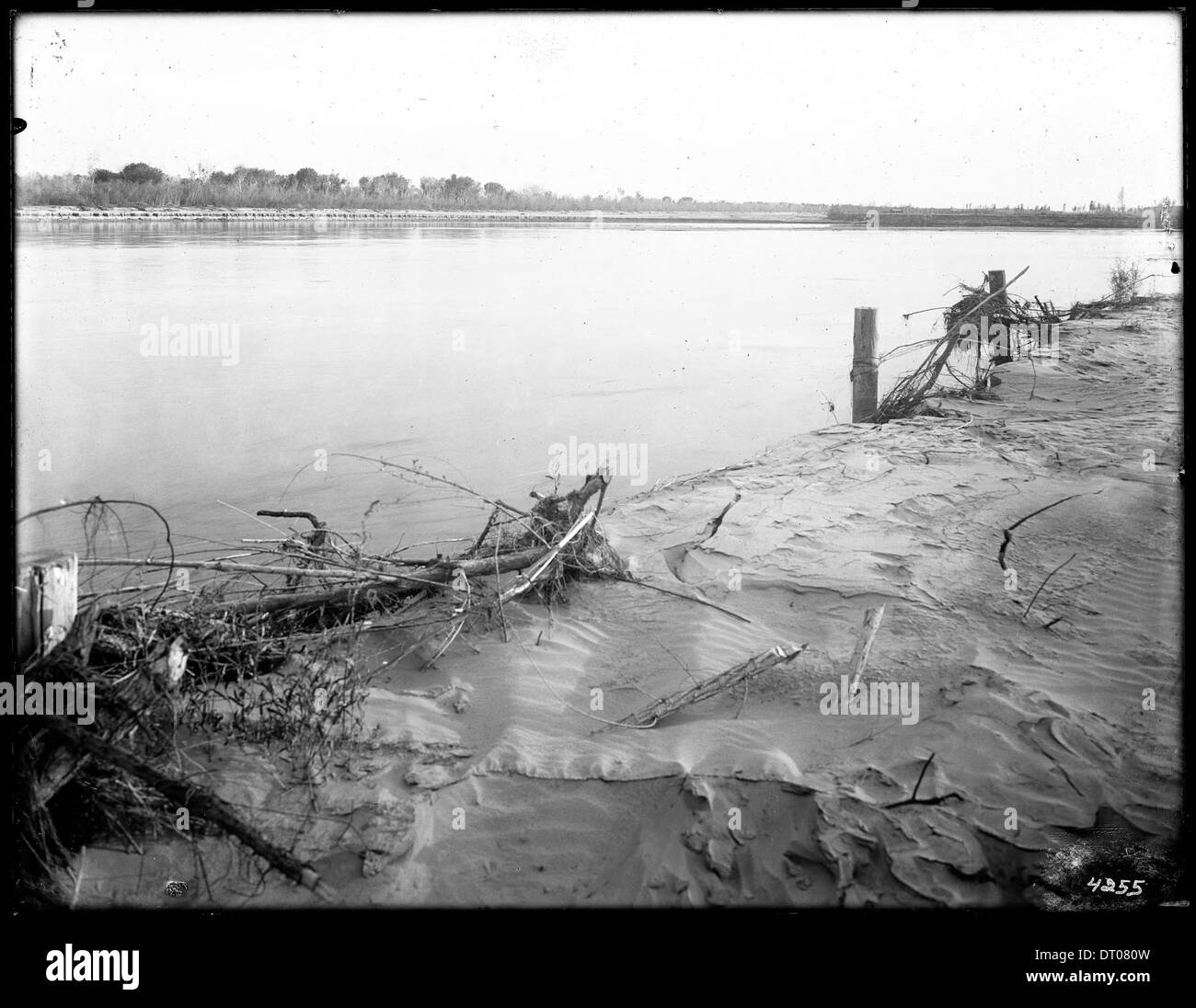 A canal congested with water from the Colorado River, photographed ...