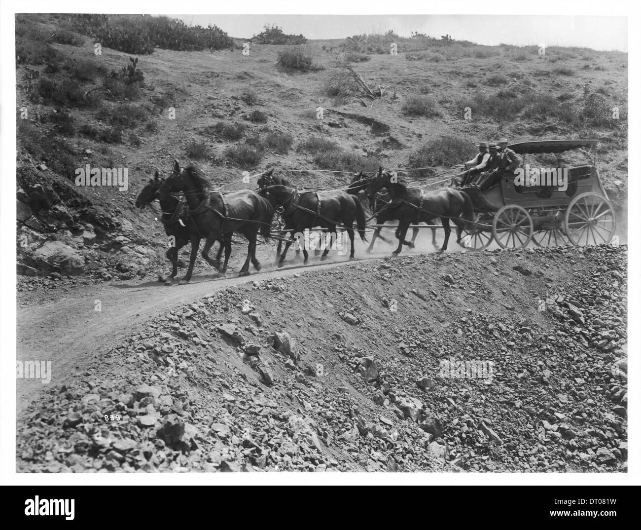 Stagecoach driving Cut Out Stock Images & Pictures - Alamy