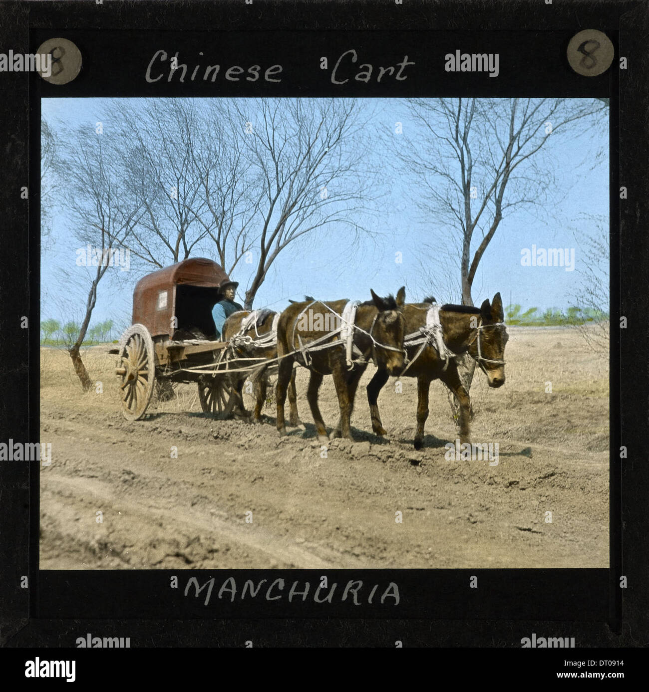 A Chinese cart is shown in Manchuria between 1882 and 1936, capturing a ...